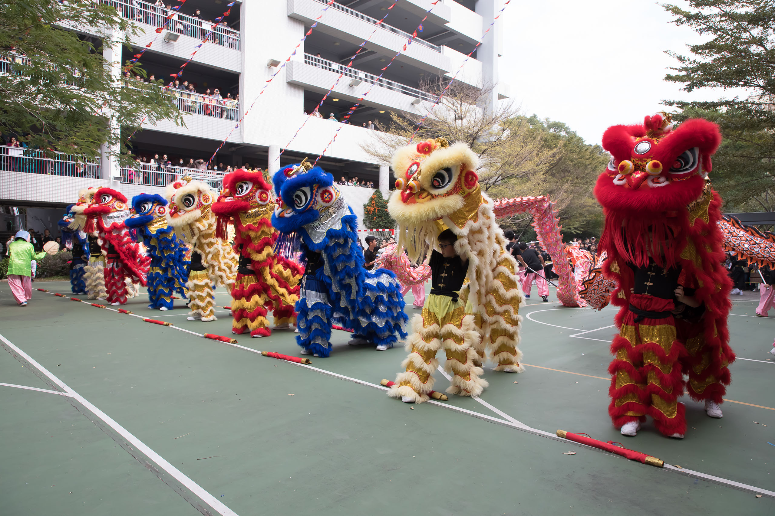 HOME [www.dbspd.edu.hk]